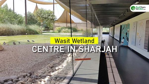 Wasit Wetland Centre in Sharjah - Complete Guide