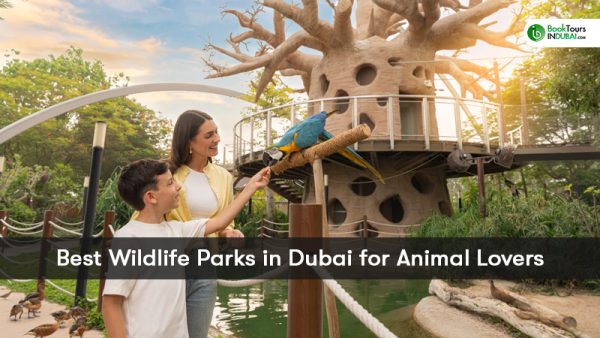 Best Wildlife Parks in Dubai - Tickets, Villages, & Wildlife Attractions